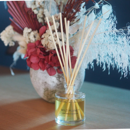 Aromatherapy Reed Diffusers | Wild Planet Aromatherapy UK