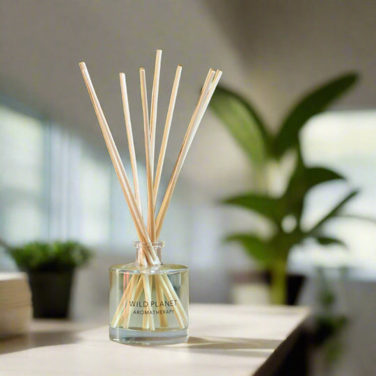 Natural Organic Reed Diffusers | Wild Planet Aromatherapy UK