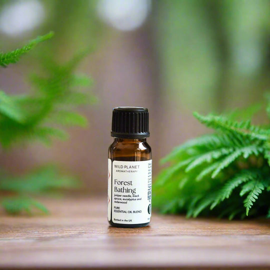 FOREST BATHING Candles | Home Fragrance – Wild Planet Aromatherapy