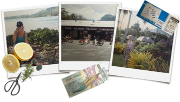 Grapefruit Rosemary Crystal Candle | Wild Planet Aromatherapy